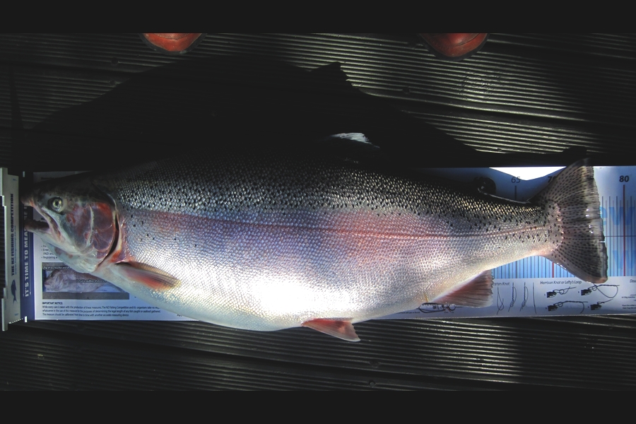 Ross Hunt's 76.5cm Trout featuring on the The Export NZ Fishing ...
